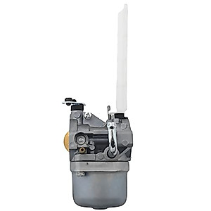 Chacarbtu Carburetor 796122 for Ariens MTD Cub Cadet 20M107 20M414 20A113 20A114 20A412 21B414 20C114 21C114 Snowblower 794593 696737 793161