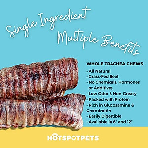 hotspot pets Premium 12'' Beef Trachea for Dogs Large - All Natural Long Lasting Dog Chews Rich in Glucosamine & Chondroitin 100% Beef Chews Single Ingredient Grass Fed Dog Treats