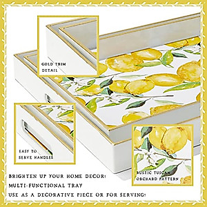 American Atelier Set of 2 Lemons Branches Rectangular Serving Tray with Handles- Indoor & Outdoor Platter for Home Entertaining, Cocktail Hour, Snacks, Barware, Perfume (Large 19x14, Small 18x12)