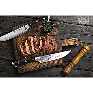 Dalstrong Gladiator Elite Series Forged High Carbon German Steel Steak 4-Piece Kitchen Knife Set with Black G10 Handle, 5 Inches, Sheaths Included