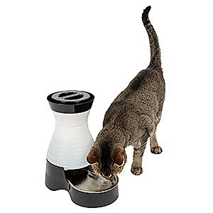 PetSafe Healthy Pet Water Station - Small, 64 oz Capacity - Gravity Cat & Dog Waterer - Removable Stainless Steel Bowl Resists Corrosion & Stands Up to Frequent Use - Easy to Fill - Filter Compatible