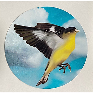 Retractable Screen Door Decals (Stickers) - 6 per Package - Keep Children Safe - Alert Birds, Dogs, Kids - Warn, Protect, Window Safety - Birds