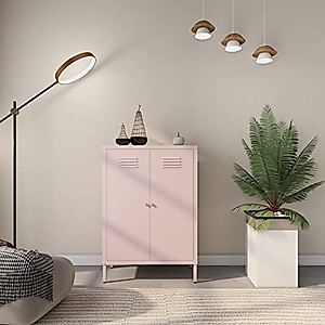 LINGZOE 2 Door Pink Metal Locker Storage Accent cabinets with Doors and Shelves, Steel Cupboard lockers for Kids Bedroom