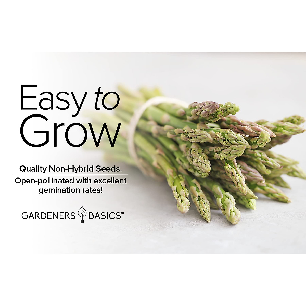 Gardeners Basics, Asparagus Seeds for Planting - Mary Washington Non-GMO Perennial Vegetable Variety- 2 Grams Seeds Great for Spring and Early Summer Gardens