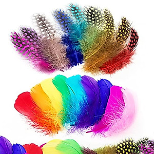 Audamp Craft Feathers 300pcs Colorful Feathers for Craft DIY Wedding Home Party Decorations