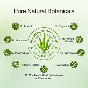 Aloderma Hydrating Face Cream for Dry Skin Made with 70% Organic Aloe Vera - Natural Hydration with Hyaluronic Acid & Arginine - Nourishing Aloe Vera Face Cream - Moisturizing Dry Skin Cream, 1.7oz