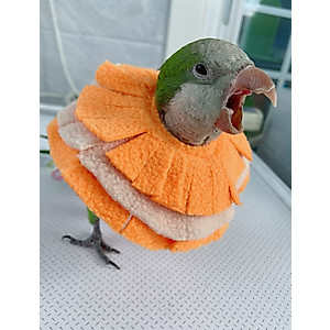 Adjustable Parrot Cone Collar, Safe and Practical Cotton Collar to Prevent Bites and Licking Wounds, to Help heal (S)