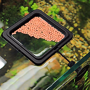 OIIKI 2 Pack Fish Feeding Ring, Aquarium Fish Floating Food Feeder, Square Shape with Suction Cup(Black)
