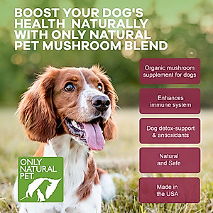 Only Natural Pet Mushroom Blend Immune System Support Supplement for Dogs - Boost Healthy Cellular, Digestive, & Liver Function - Multivitamin Beta-Glucan & Antioxidant - Bacon Flavor 60 Soft Chews