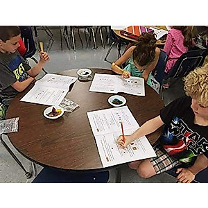 Developing Fractions Sense® A Class Set of 10 - Grade 3. A Concrete and Visual Introduction to Fractions. Includes 10 Student workbooks, 10 Sets of Fraction manipulatives, Teacher Set and Answer Key.