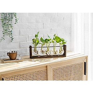 Mkono Plant Terrarium with Wooden Stand, Wall Hanging Glass Planter Desktop Glass Bulb Vase Retro Wooden Holder for Propagating Hydroponics Plants Pothos Home Office Garden Decor