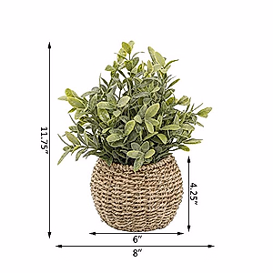 Flora Bunda Artificial Tealeaf in 6" Basket Pot