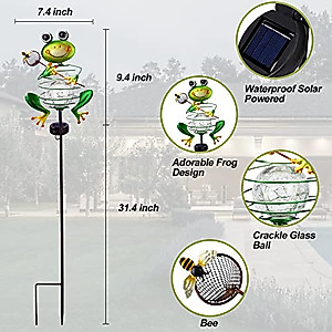 HEDAQI Outdoor Solar Frog Shape Stake Lights with Crackle Glass Globe, Metal Solar Powered Waterproof LED Pathway Ligths for Decor Garden Lawn, Backyard, Patio, Yard, Walkway