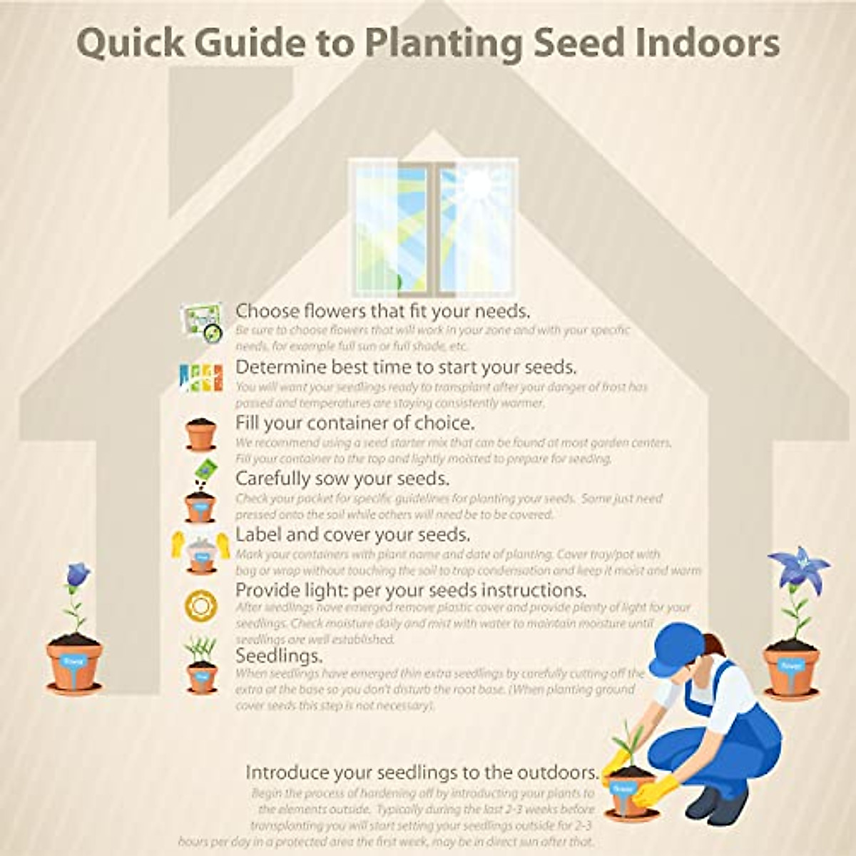 Outsidepride Texas/Oklahoma Wildflower Seed Mix - 1 LB