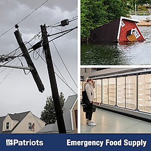 4Patriots Meat & Protein Survival Kit, Emergency Food Supply, Freeze-Dried Meat, Hearty Beans, Designed To Last 25 Years, Disaster-Resistant Packaging, 85 Servings of Vital Nutrition