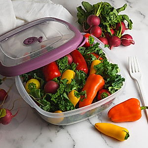 Tribello Plastic Freezer Food Storage Container with Lids Microwave/Dishwasher Safe Steam Vent/Air-Tight Lid Square Large 67 Oz 2-Pack 8.3-Cup