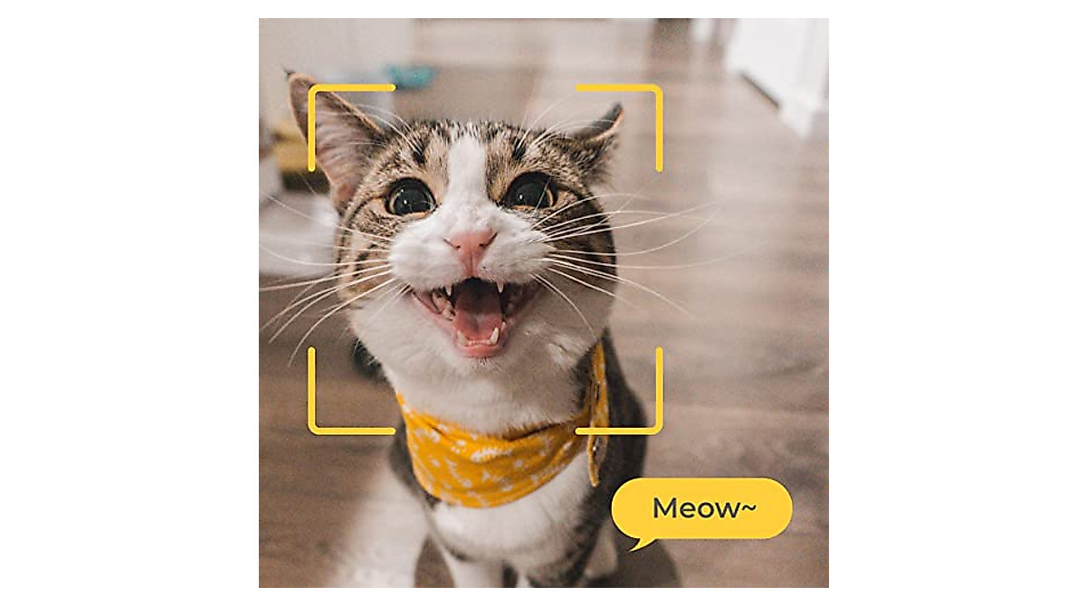 ABRCT Smart Camera Cat Feeder: Voice & 1080HD Video