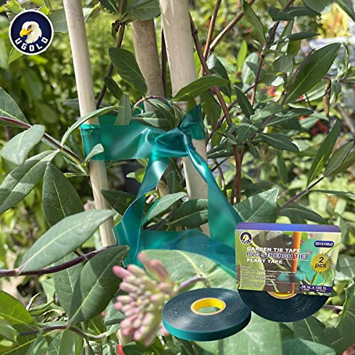 Ugold, 2-Pack, 8 mil Extra Thick 150 Feet x 1/2'' Stretch Plant Tie Tape, Garden Tie Tape for Planting and Grafting, Plant Ribbon for Tomatoes, Grapes and Trees, Green Tie Tape