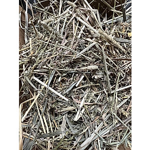 Natural Timothy Hay for Guinea Pigs,Timothy hay for horses, Timothy hay for hamsters, Timothy hay for Rabbits & Other Small Animals, High-Fiber Hay for Rabbits & Guinea, Fresh & Sun-Dried Timothy Hay,