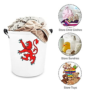 Lion Rampant Scotland Large Laundry Basket Hamper Bag Washing with Handles for College Dorm Portable