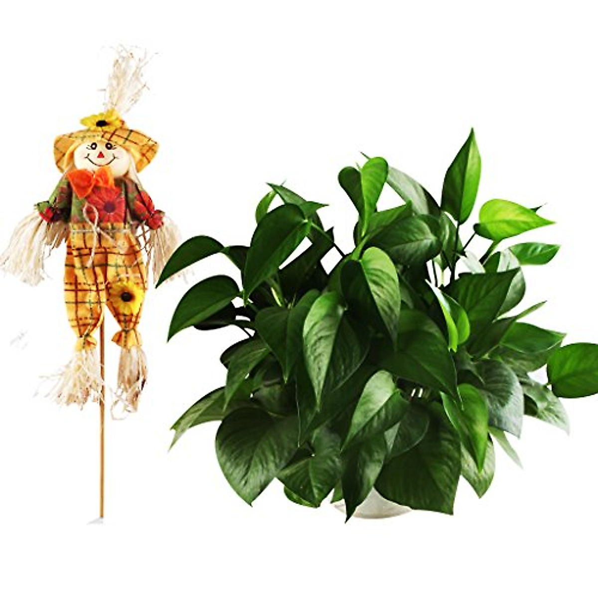 IFOYO Small Fall Harvest Scarecrow Decor, 3 Pack Happy Christmas Decorations 15.75 Inch Scarecrow Christmas Decoration for Garden, Home, Yard, Porch, Thanksgiving Decor