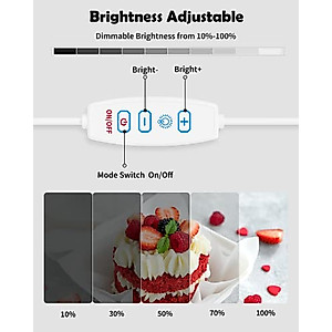 Glendan Light Box Photography, 13"x12" Photo Studio Light Box, Portable Folding Photo Shooting Tent Kit with 112 LED Adjustable Lights CRI >95, 8 Color PVC Backdrops for Small Size Product Photography