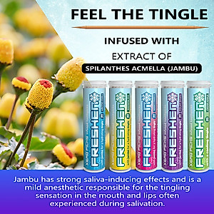 Xero Picks Freshen - Infused Flavored Toothpicks - Cooling Fresh Breath - 100 Picks - 5 Pack - Variety- polar grape, arctic chill, banana ice, berry freeze and crisp apple