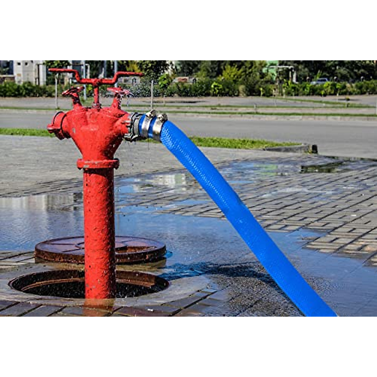 1 IN x 50 FT Pool Backwash Hose, Heavy Duty Flat Discharge Hose, Weather and Burst Resistant, Best Pool Hoses for Inground Pools, Pool Filter Hose & Pool Drain Hose