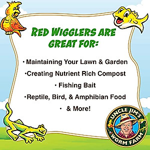 Uncle Jim's Worm Farm Red Wiggler Live Composting Worms Mix for Garden Soil or Fishing | Pack of Compost Worms Improves Soil Structure and Quality for Healthier Gardens | 500 Count