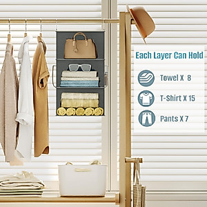 LayerSpace Space-Saving Hanging Closet Organizer - Versatile Storage for Clothes, Travel, Bedroom - 3-Shelf Heavy-Duty Design - Set of 2, Grey