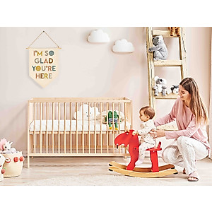 I'm So Glad You're Here-Classroom Decor-Inclusive Classroom Decor-Welcome Gift-Teacher Gift-Canvas Hanging Pennant Flag Banner Wall Sign Decor Gift-Birthday Christmas Gift