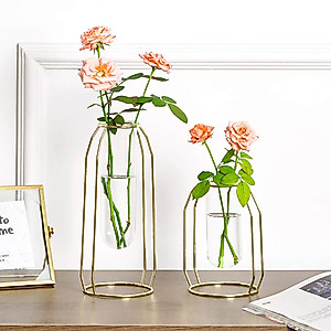 2 Pcs Flower Vases with Iron Art Frame, Geometric Plant Pot, Centerpiece Plant Vase, Plants Tabletop Display Holder for Wedding Table Office Living Room Decor (Gold, S+L)