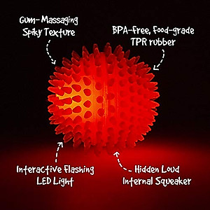 Gnawsome™ 3.5” Spiky Squeak & Light Ball Dog Toy - Small, Cleans teeth and Promotes Dental and Gum Health for Your Pet, Colors will vary