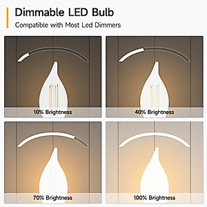 SHINESTAR 8-Pack Chandelier Light Bulbs, 2700K Warm White, 120V 40W Equivalent, E12 Candelabra LED Bulbs, Dimmable