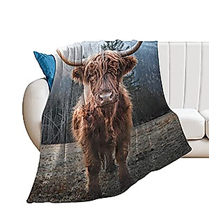 Cow Blanket Cool Highland Horned Baby Cow Cattle Enjoying The Sunrise Flannel Blanket,Ultra Soft Sofa Bed Blanket, Lightweight Travel Throw Blankets Novelty Gift Blanket Unisex,60"X50"