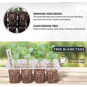 CANNABMALL Seed Starter Tray 5 Packs Seedling Starter Trays with Grow Light 8 LEDs, Timer, Dimmable, Seed Starting Trays Kit with Humidity Dome (60 Cells) Indoor Gardening Plant Germination Trays