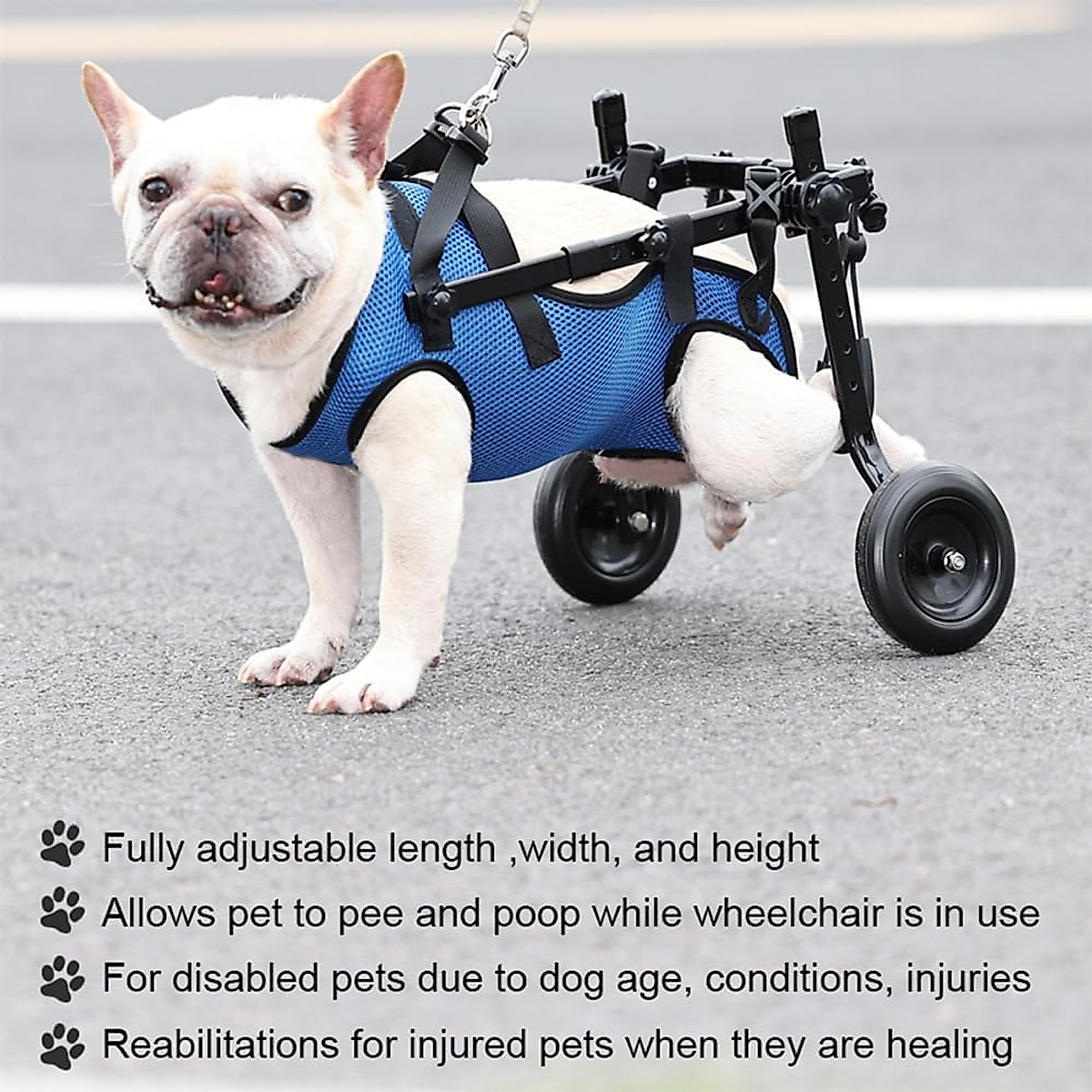 Adjustable Small Dog Wheelchair - Mobility Aid for Disabled Pets,Small Dog Wheelchair for Back Legs， Leg Brace & Hip Support (Middle)
