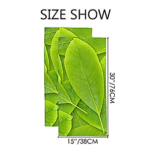 Green Leaf Dish Towel 2PC Hand Towels for Bathroom 15" x 30" Absorbent Soft for Hand, Face, Kitchen, Hotel, Spa, Gym, Swim