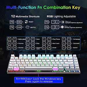 HUO JI E-Yooso Z-88 RGB Mechanical Gaming Keyboard, Metal Panel, Blue Switches - Clicky, Compact 81 Keys Hot Swappable for Mac, PC, Silver and White