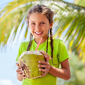 [100 Pcs] Biodegradable Compostable Disposable Colorful Straws - PLA Plant Based Drinking Straws for Juice Coffee Cocktail Cold Drinks (8.25" LongX0.23" Wide)