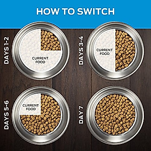 Purina Dog Chow Complete Adult Dry Dog Food Kibble With Chicken Flavor - (4) 4.4 lb. Bags