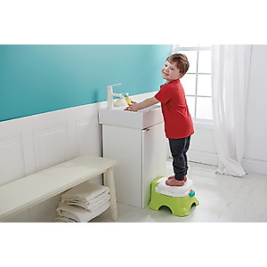 Fisher-Price DLT00 Royal Stepstool Potty