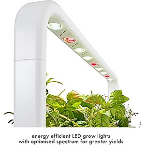 Click and Grow Smart Garden 9 PRO w/Bluetooth | App and Touch Controlled Indoor Garden | Easier Than a Hydroponics Growing System | Herb & Vegetable Garden Starter Kit w/ 9 Plant Pods