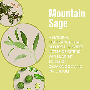 Barrel and Oak - Natural Fragrance Cologne, Cologne for Men, Eau de Cologne, Essential Oil-Based Scent, Cedar & Patchouli Blend, Subtle Earthy Fragrance, Paraben Free, Vegan (Mountain Sage, 2.7 oz)