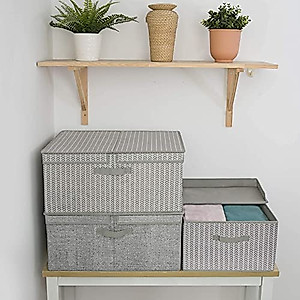 GRANNY SAYS Bundle of 1-Pack Extra Large Rectangle Storage Bins & 3-Pack Large Rectangle Closet Storage Bins with Lids