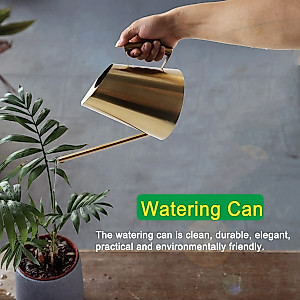 WEBTB Watering Can Indoor Plants Gold Watering Can Stainless Steel Bonsai Watering can 1.5L Small Watering Can for Outdoor Watering Plants Mini Watering Can House Plants Home Gardening Water Bottle