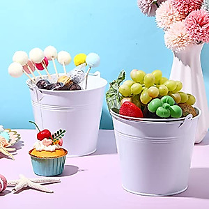 Rtteri 24 Pcs Metal Bucket, Small Metal Bucket, Party Favor Buckets with Handle, 6 x 5 Inch Ice Bucket for Kids, Flower Pot Plant Basket, Mini Toy Containers for Crafts Candy (White)