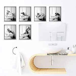 Funny Bathroom Decor Wall Art – Unframed Set of 6 (8 x 10 Inch) – Bathroom Wall Decor, Black and White Bathroom Decor, Kids Bathroom Decor, Animal Giraffe Penguin Elephant Bathroom Pictures for Wall Decor by LIYA Design Prints