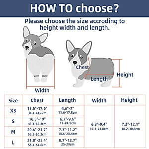 Dog Wheelchair for Back Legs(M), Adjustable Pets Cart with Wheels for Back Legs, Assist Small Pets with Paralyzed Disabled Hind Limbs to Recover Mobility, Dog Wheel Chair for Small Breed(12.1-22 LBS)