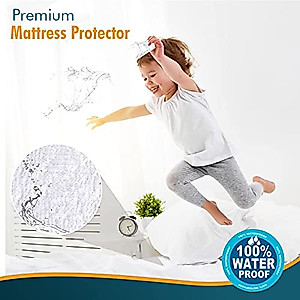 PlushDeluxe Waterproof Mattress Protector, Breathable Soft Cotton Terry Surface (Twin)